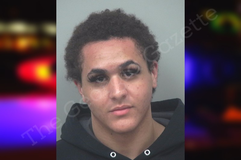 Xavier Brown — Gwinnett County Jail Bookings