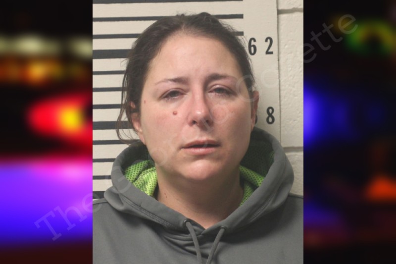 Lydia Burke — Toombs County Jail Bookings