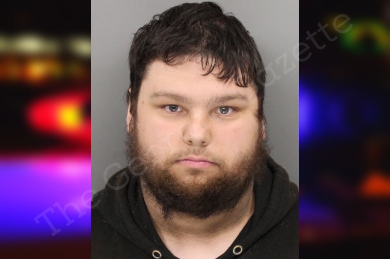 Dylan Burton — Cobb County Jail Bookings