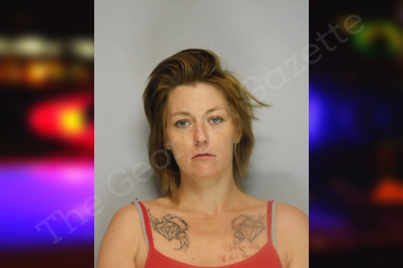Lisa Clark — Hall County Jail Bookings