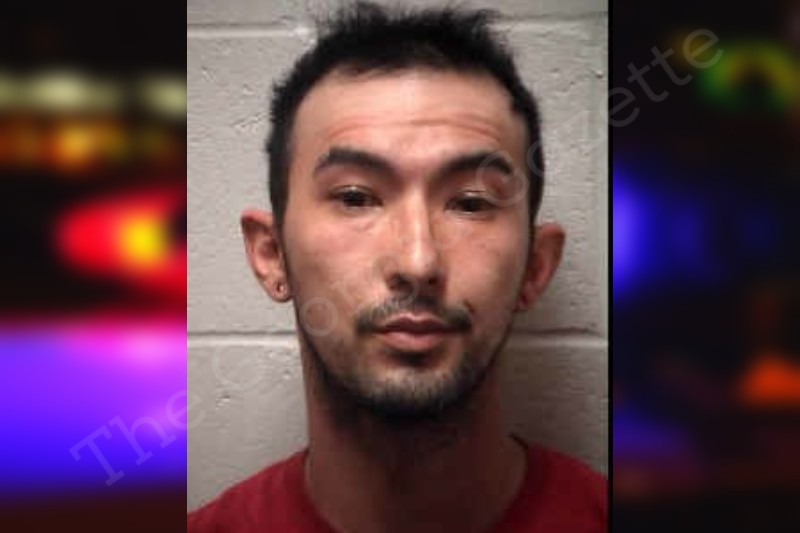 Andrew Copeland — Henry County Jail Bookings