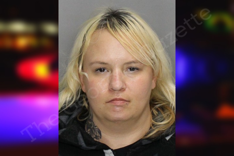 Gina Calvert — Cobb County Jail Bookings