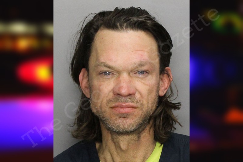 Sunny Chandler — Cobb County Jail Bookings