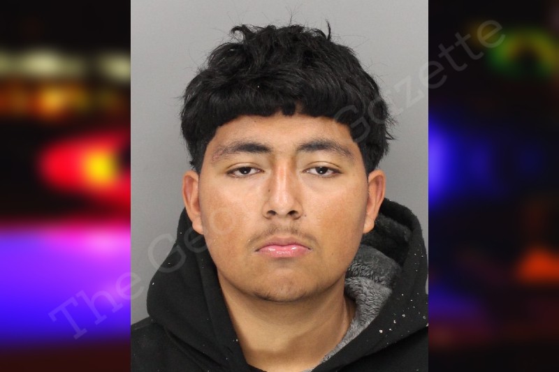 Adolfo Corona — Cobb County Jail Bookings