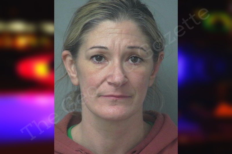 Rebecca Davis — Gwinnett County Jail Bookings