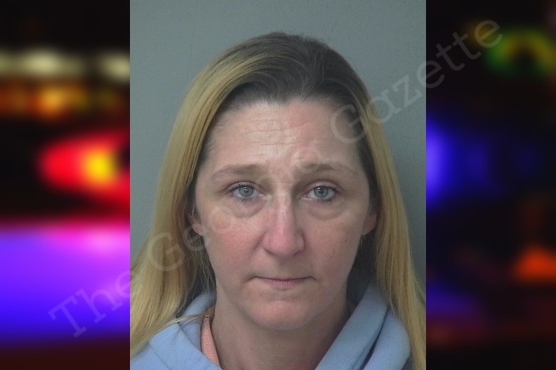 Christina Deming — Gwinnett County Jail Bookings