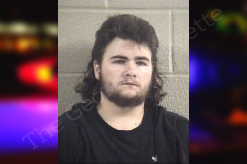 Dallas Hibbs — Whitfield County Jail Bookings