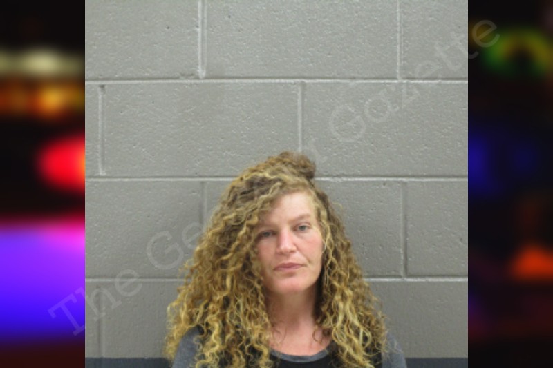 Amber Collins — Banks County Jail Bookings