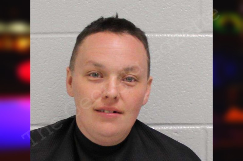 Amber George — Carroll County Jail Bookings