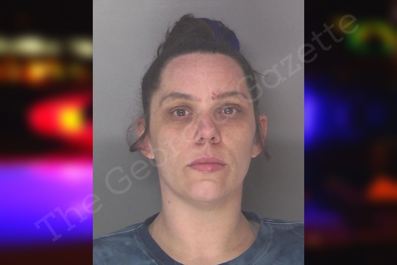 Jessica Gilley — Douglas County Jail Bookings