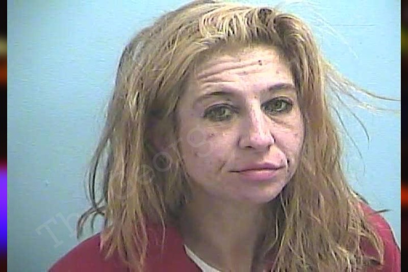 Jessica Hamilton — Dawson County Jail Bookings