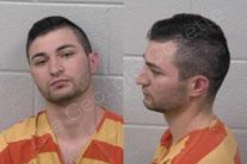 David Hausman — Paulding County Jail Bookings