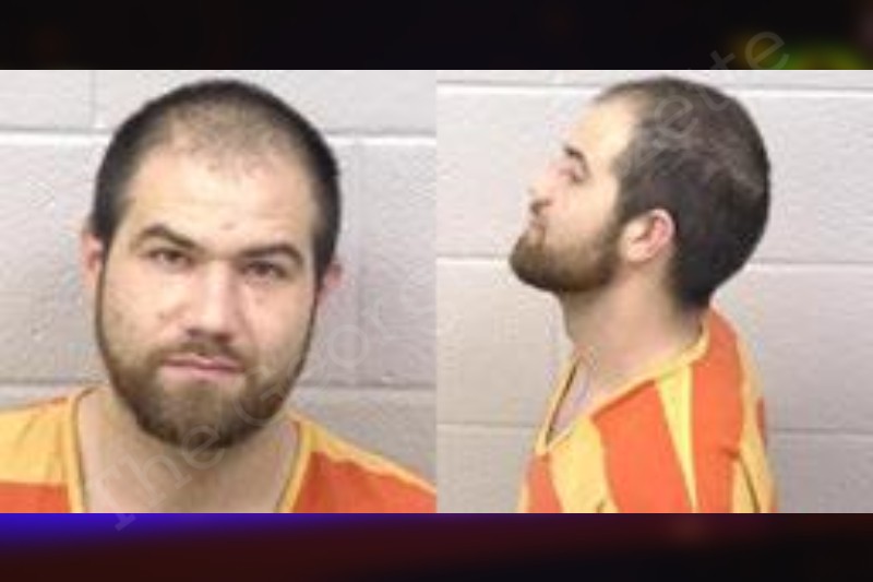 Tyler Jacobs — Paulding County Jail Bookings