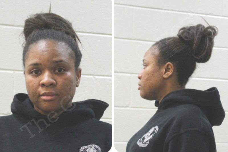 Aliyah James — Houston County Jail Bookings