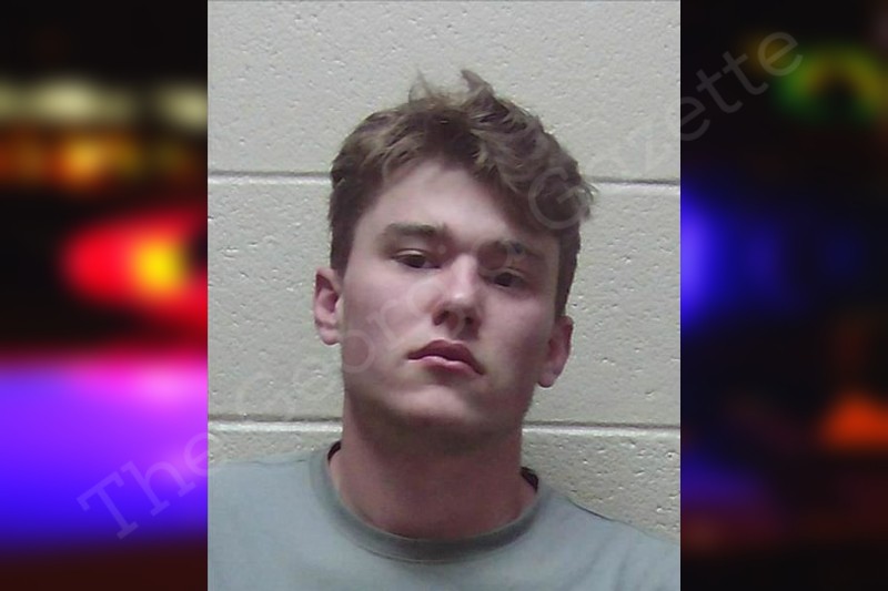 Riley Kerr — Haralson County Jail Bookings