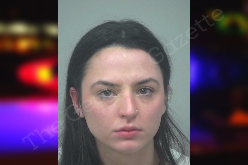 Haley Kimsey — Gwinnett County Jail Bookings