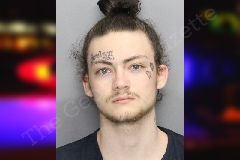 Brian Ledbetter — Cobb County Jail Bookings