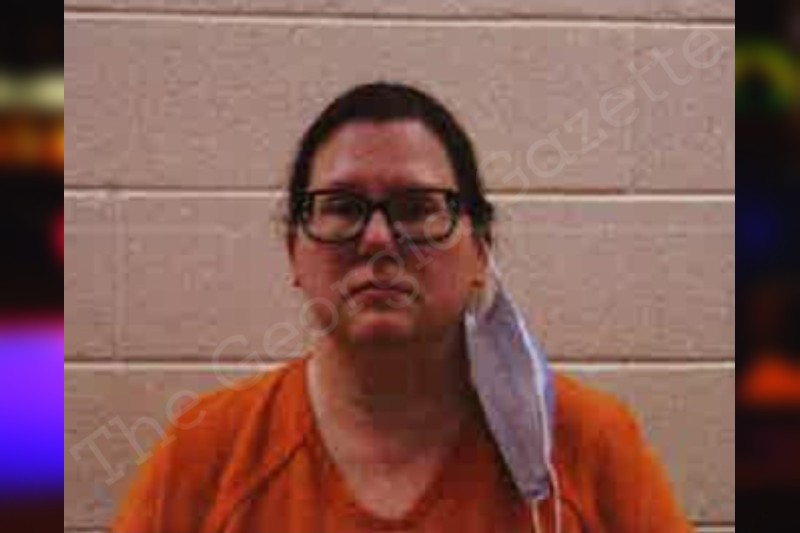 Patricia Lewis — Pickens County Jail Bookings Patricia Lewis — Pickens County Jail Bookings