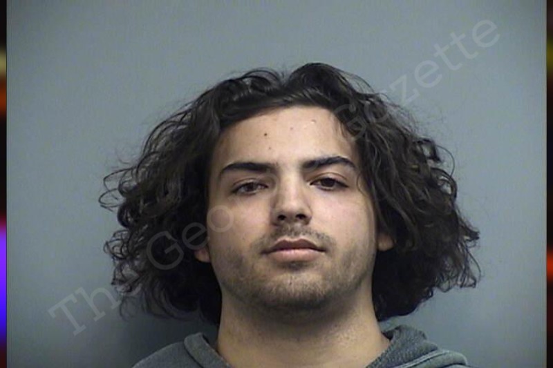 Isaac Mitchell — Effingham County Jail Bookings