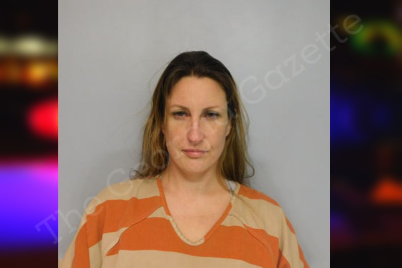 Lori Mize — Hall County Jail Bookings