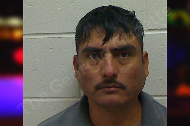 Jamie Morales — Bulloch County Jail Bookings