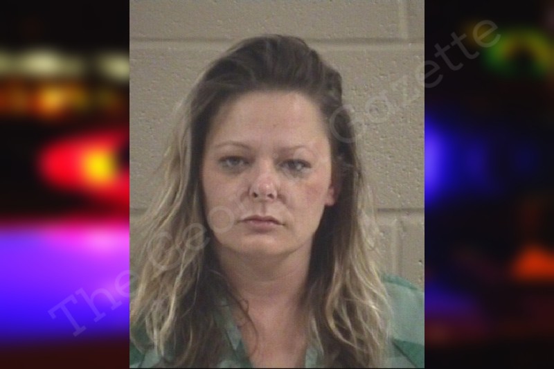 Maranda Dyer — Whitfield County Jail Bookings