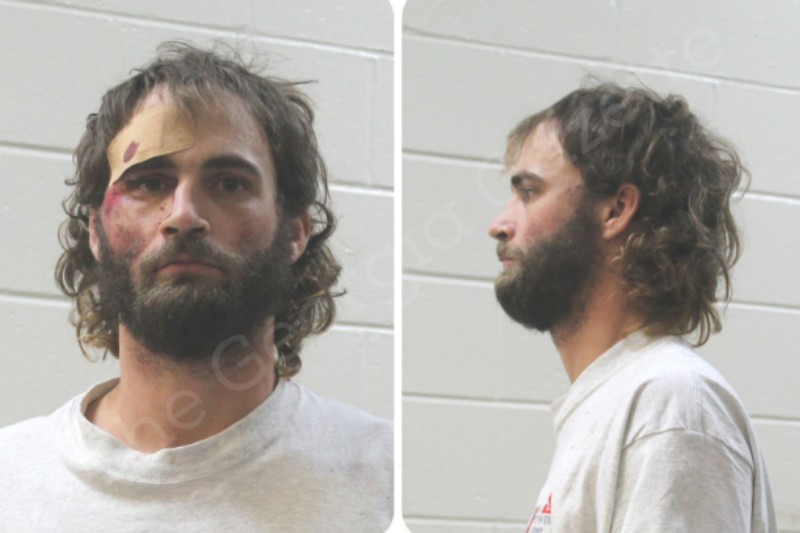 Christopher Mullis — Houston County Jail Bookings