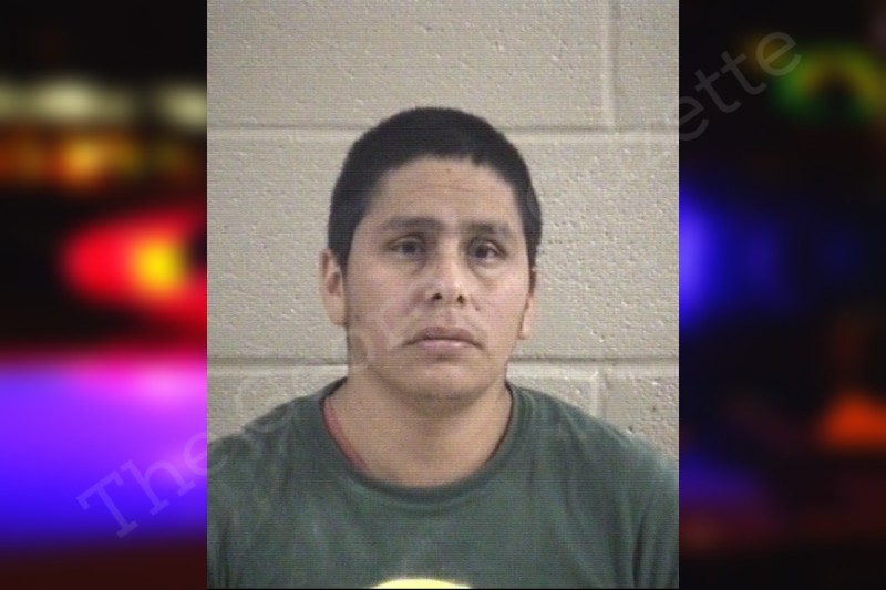 Nelson Vicente Argueta — Whitfield County Jail Bookings