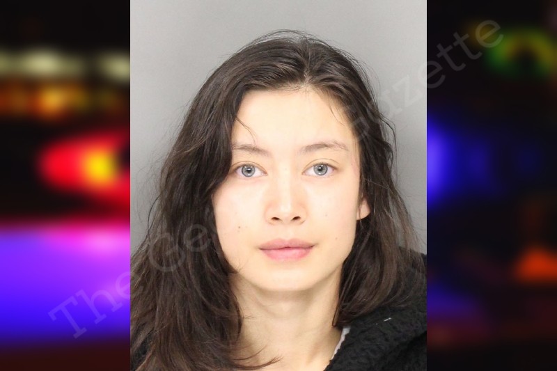 Jennifer Nguyen — Cobb County Jail Bookings