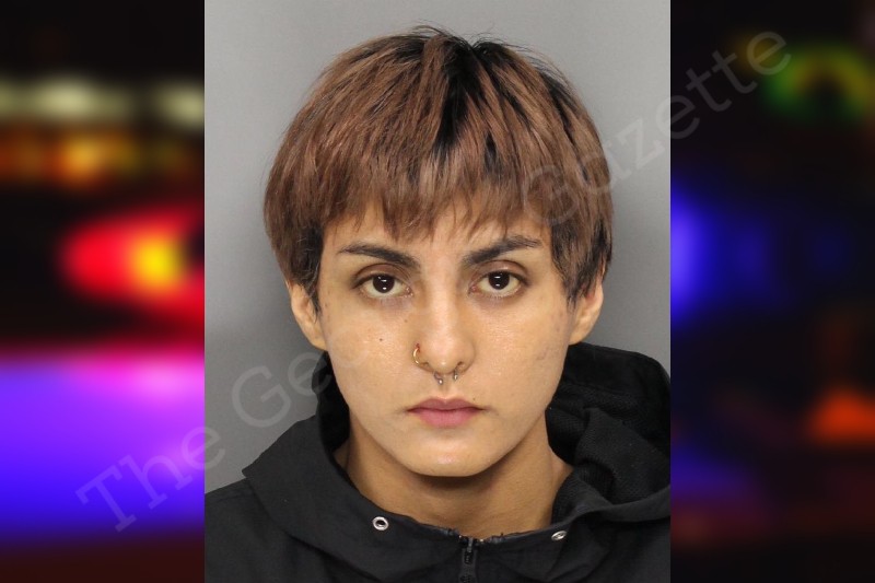 Gabriella Nunez — Cobb County Jail Bookings