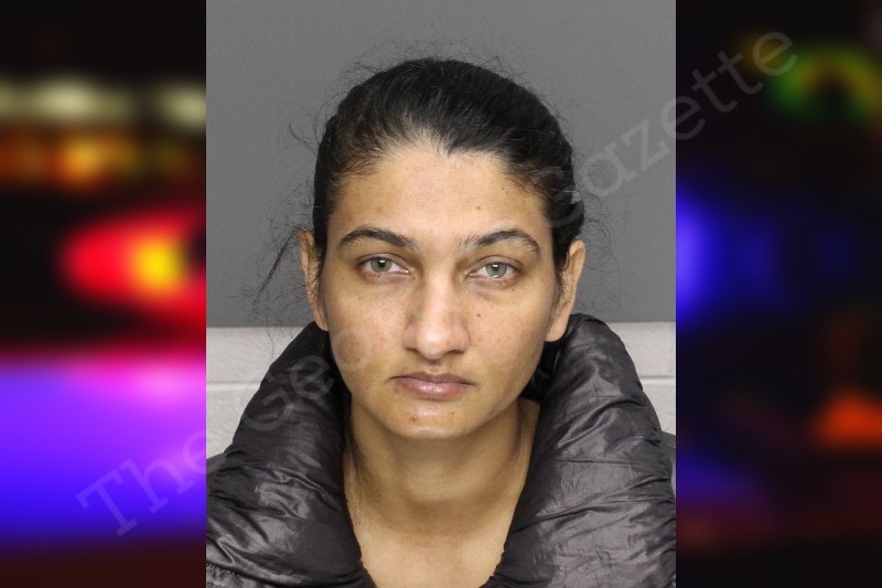 Mandeep Patel — Cobb County Jail Bookings