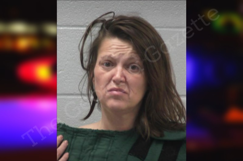 Donna Ralston — Gilmer County Jail Bookings