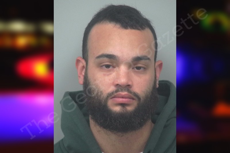 Rafael Ramirez — Gwinnett County Jail Bookings