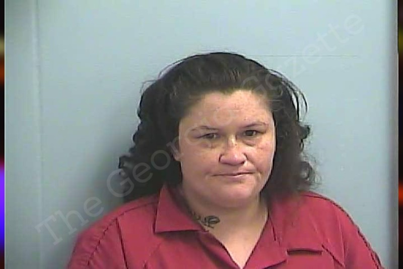Ashley Rupert — Dawson County Jail Bookings