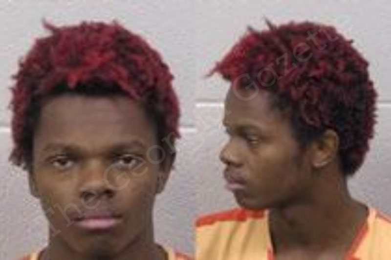 Tyrone Ray — Paulding County Jail Bookings