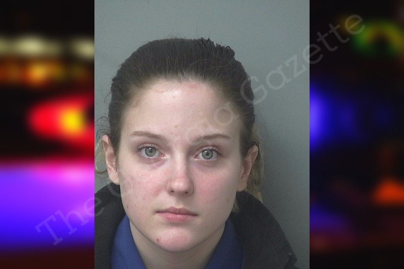 Hailey Shepherd — Gwinnett County Jail Bookings
