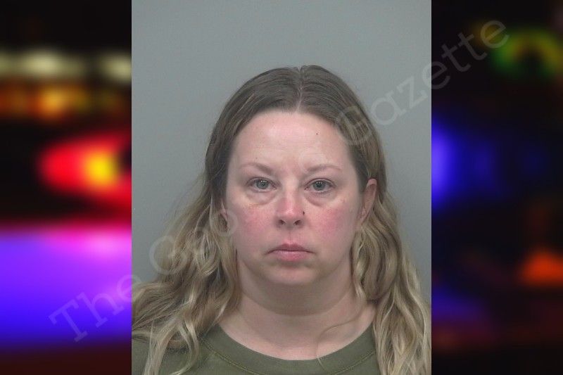 Amanda Spivey — Gwinnett County Jail Bookings