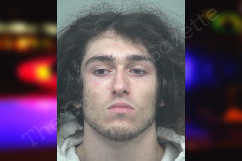 William Strong — Gwinnett County Jail Bookings