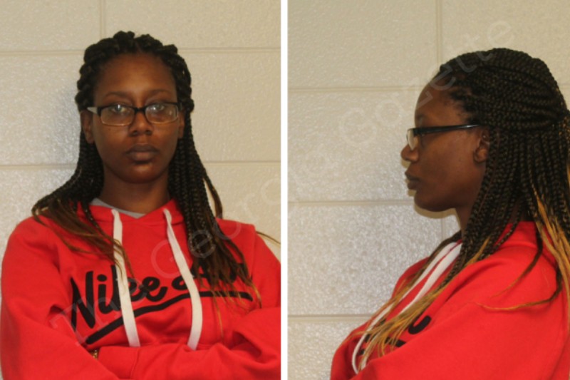 Christina Sharpe Bostic — Houston County Jail Bookings