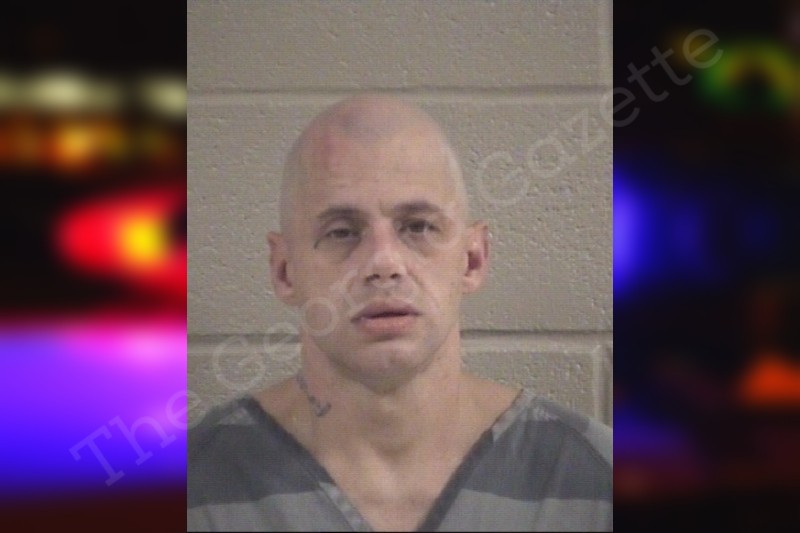 Steven Patton — Whitfield County Jail Bookings
