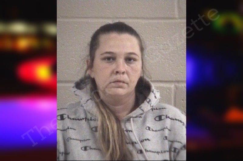 Tabitha Rogers — Whitfield County Jail Bookings
