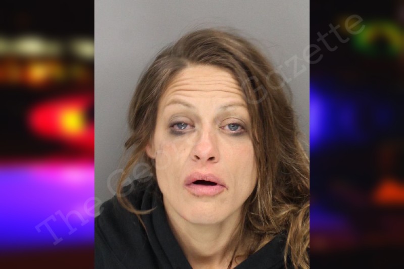 Jessica Tipton — Cobb County Jail Bookings