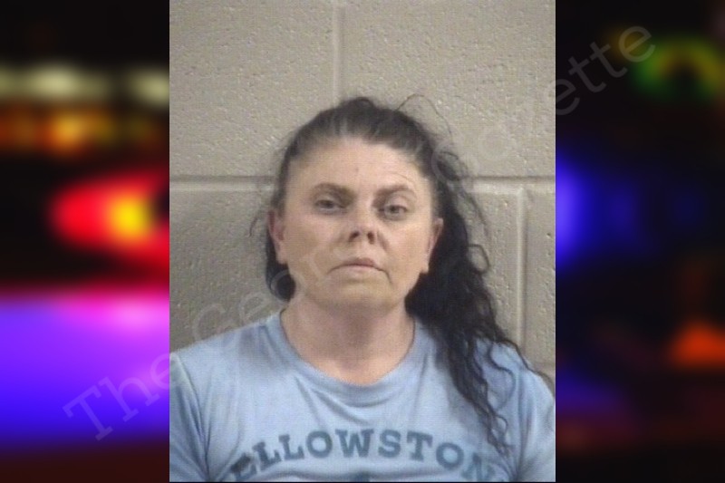 Tonya Head — Whitfield County Jail Bookings
