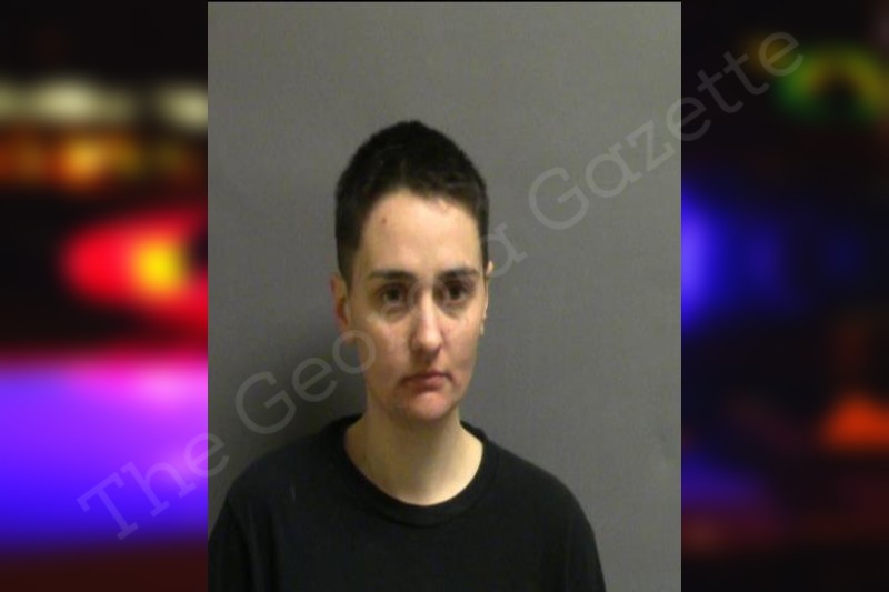 Amanda Troyer — Glynn County Jail Bookings