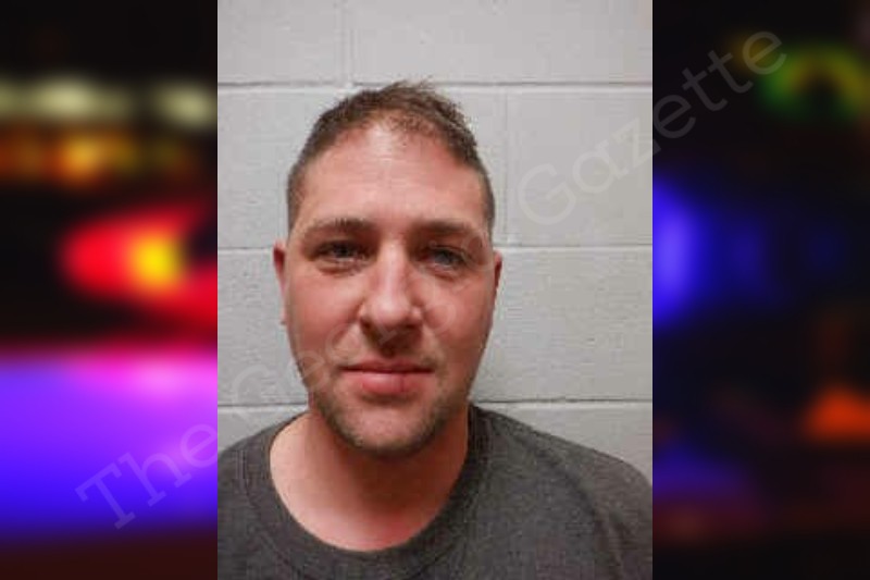 Brandon Watson | Henry County Jail Bookings