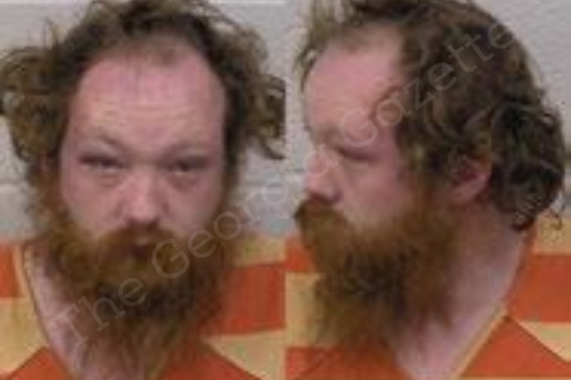 Michael Wigley — Paulding County Jail Bookings