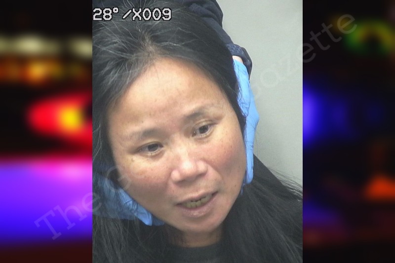 Michelle Xie — Gwinnett County Jail Bookings