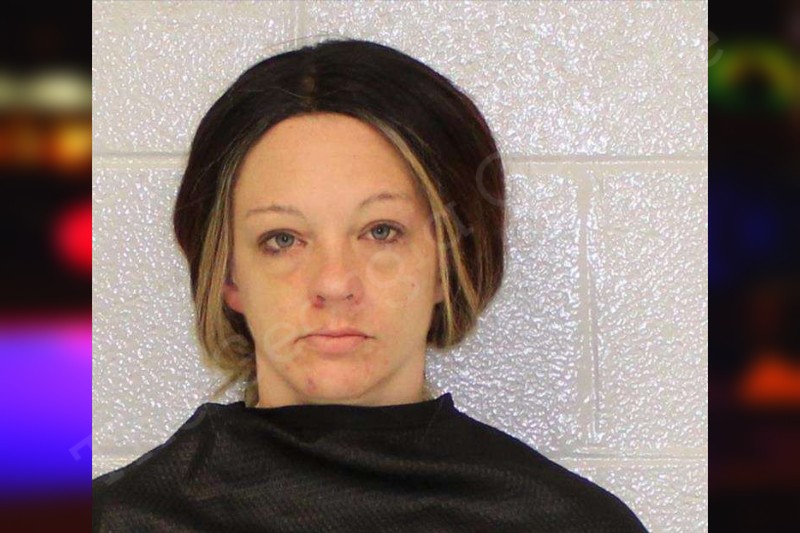Kelly Banner — Carroll County Jail Bookings