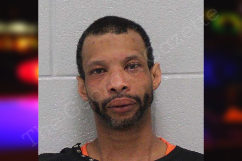 Ali Bonner — Carroll County Jail Bookings