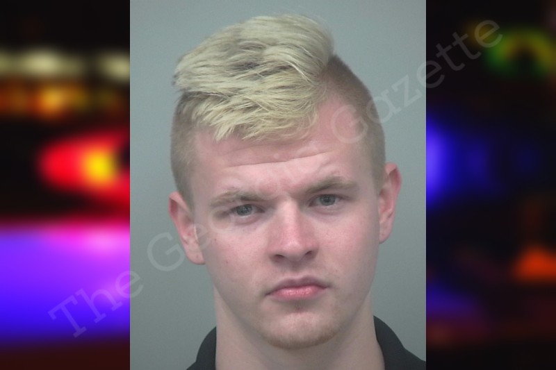 Christopher Bradshaw — Gwinnett County Jail Bookings